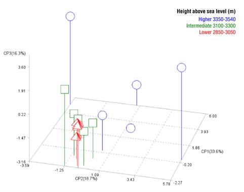 Phytochemical variation among sacred fir (Abies religiosa [Kunth ...