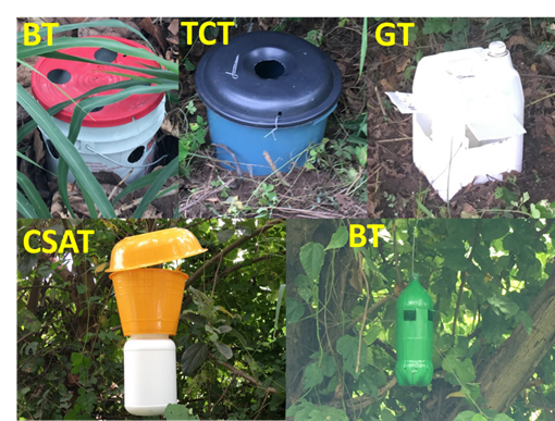Cost-benefit of trapping and population fluctuation of Rhynchophorus ...