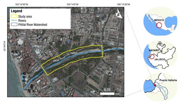 Loss of riparian vegetation cover due to dewatering of the Pitillal ...