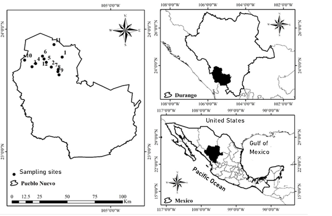 Changes in tree diversity and structure of a temperate forest under two ...