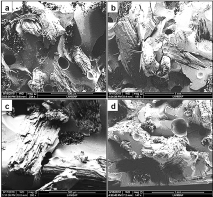 Physico-mechanical performance of an epoxy matrix biocomposite ...