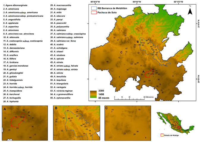 Systematic Review for Understanding Mexican Biodiversity: The Agaves of ...
