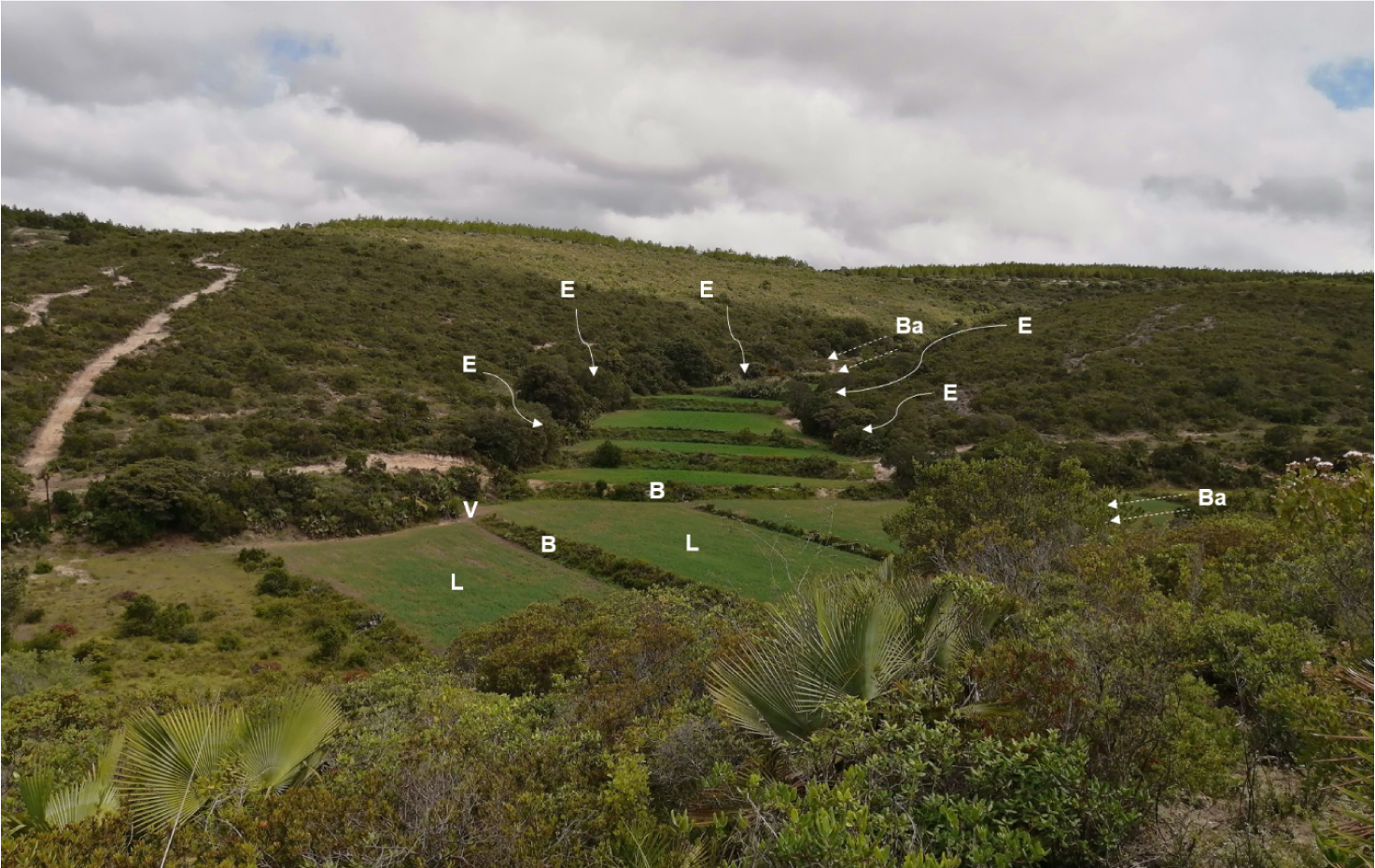 Predictive model for the estimation of sediment volume captured by lama ...