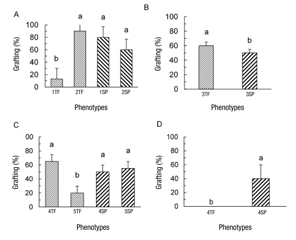 Grafting propagation of Quercus affinis Scheidw. individuals tolerant ...