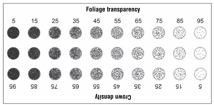 Health condition of Ficus microcarpa L. f. assessed using crown ...