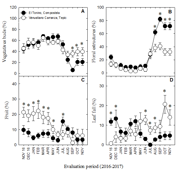 Phenological growth stages of soursop trees (Annona muricata L.) based ...
