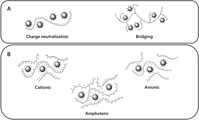 Polysaccharide evaluation in flocculation mediated via polyelectrolyte ...