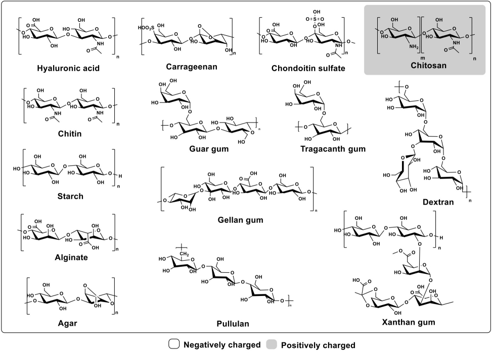 Polysaccharide evaluation in flocculation mediated via polyelectrolyte ...