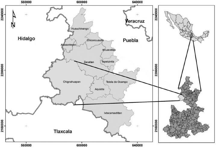 La actividad forestal en el desarrollo económico de Chignahuapan, Puebla