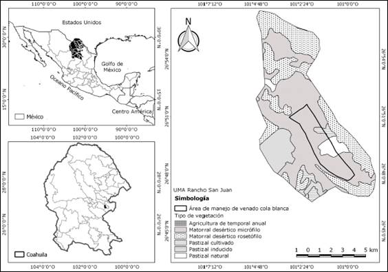 Importancia del matorral desértico micrófilo para el venado cola blanca ...