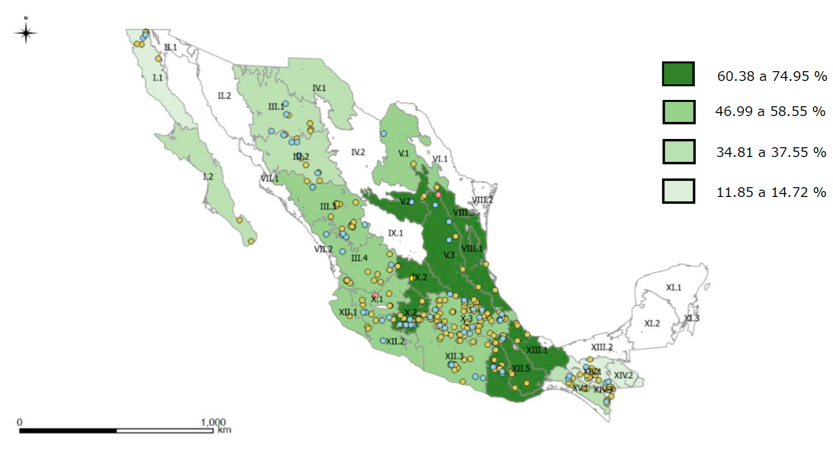 Mapa De Bosques De Coníferas