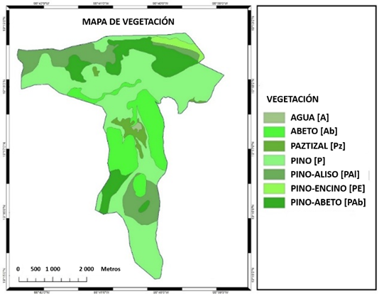 Sistema de monitoreo meteorológico en un bosque templado a partir de ...