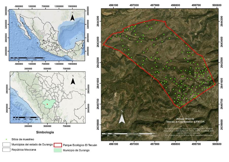 Diversidad e importancia ecológica de la vegetación arbórea en el ...