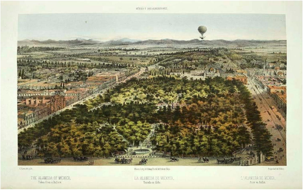 La cubierta arbórea de la Alameda Central de la Ciudad de México: 1ª parte