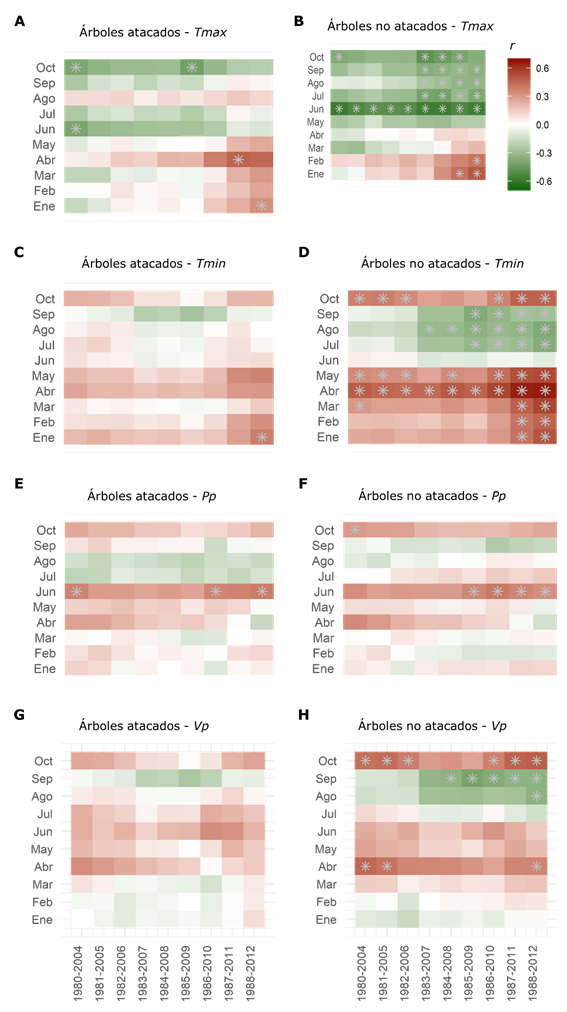 Impacto de Ips confusus Wood & Bright, 1992 en el incremento radial de ...