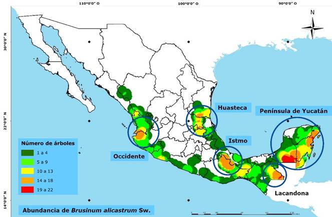 Zonas potenciales de Brosimum alicastrum Sw. y su variabilidad ante ...