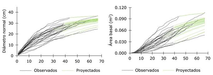 Crecimiento en diámetro normal y área basal para Pinus durangensis ...