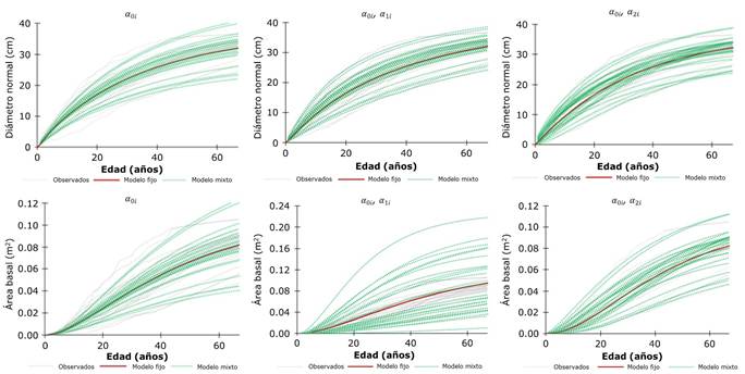 Crecimiento en diámetro normal y área basal para Pinus durangensis ...