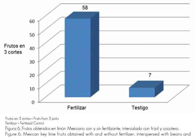 Cultivo Intercalado Con Coco