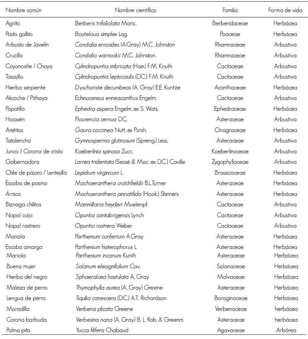 Composición florística y caracterización estructural del matorral ...