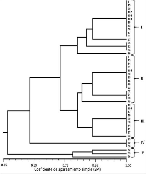 Diversidad genética de genotipos partenocarpicos arbustivos de calabaza ...
