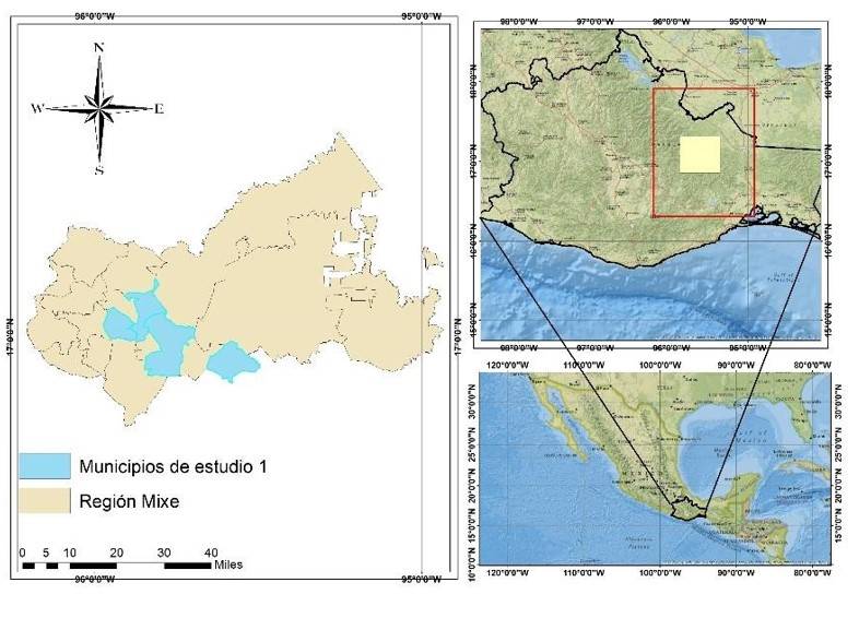 Descripción y análisis de productores de café de la región Mixe, Oaxaca