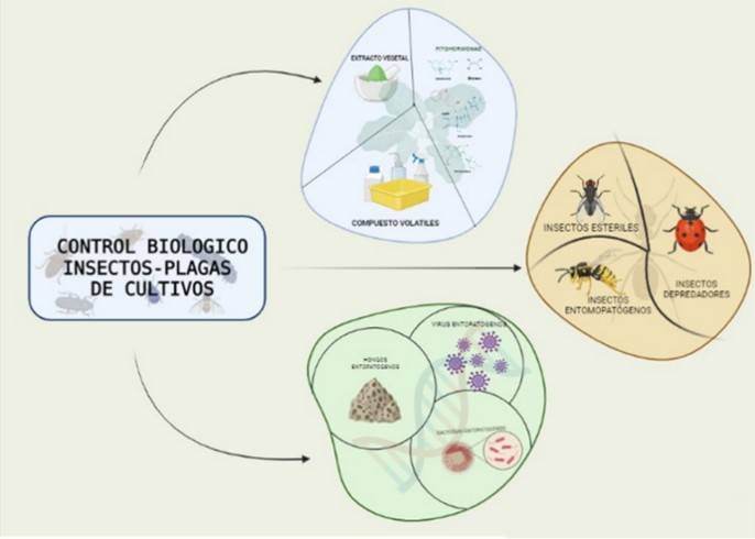 Control biológico de plagas en la agricultura mexicana