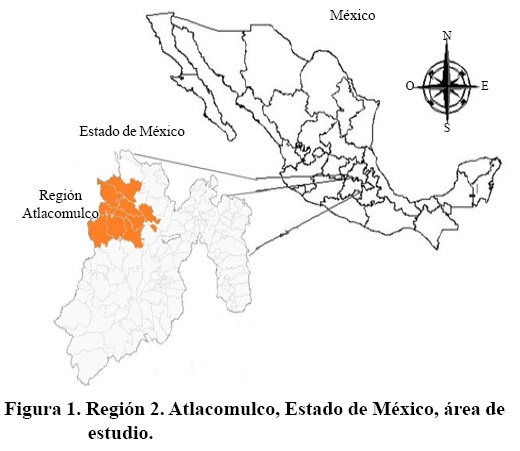 Análisis de la mecanización agrícola de la región Atlacomulco, Estado ...