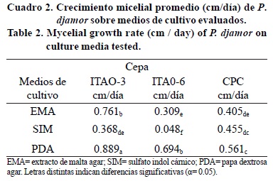 Caracterización de dos cepas de Pleurotus djamor nativas de Oaxaca, México