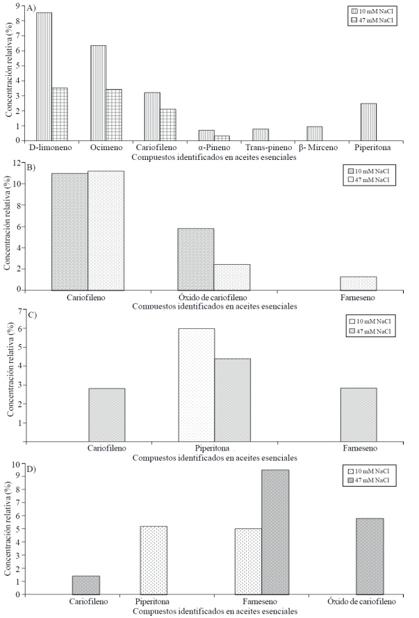 Metabolitos secundarios y clorofilas en cempasúchil en respuesta a ...
