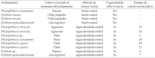Capacidad de sobrevivencia de tres especies de Phytophthora y dos de ...