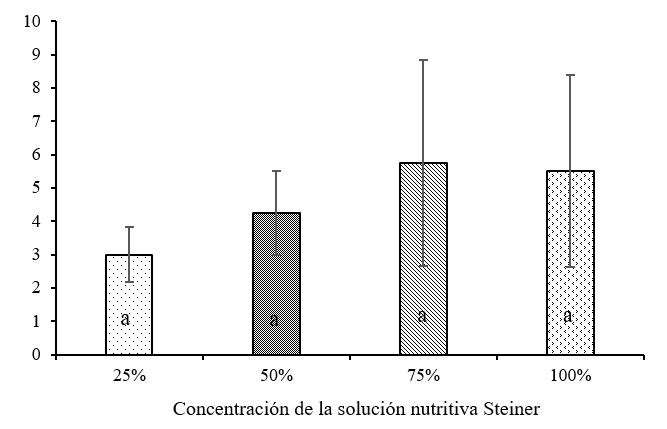 Concentración de nutrimentos en la solución nutritiva y rendimiento de ...