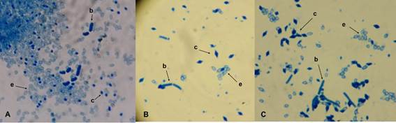 Aislados nativos de Bacillus thuringiensis del sureste de México