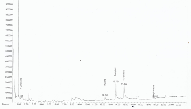 Methanolic extract of Artemisia ludoviciana "Estafiate" against ...