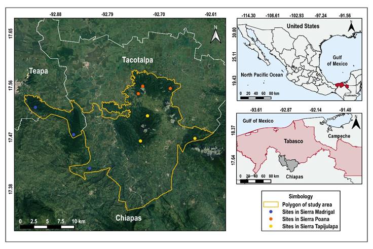 Wild mammals of the Sierra de Tabasco State Park, Tabasco, Mexico