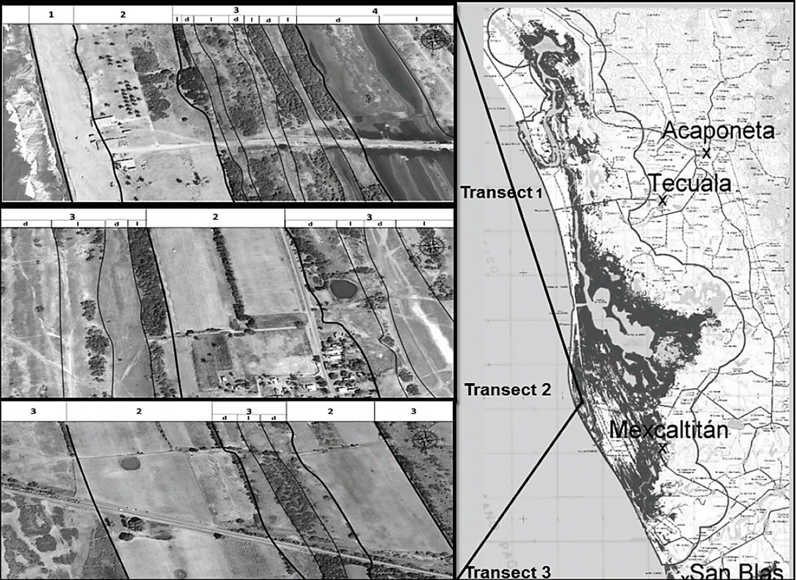 Salinity and soil properties of beach ridge in national marshlands in ...