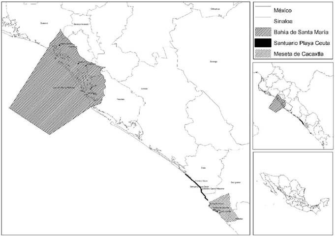Sociocultural aspects of fishermen and their connection with sea ...