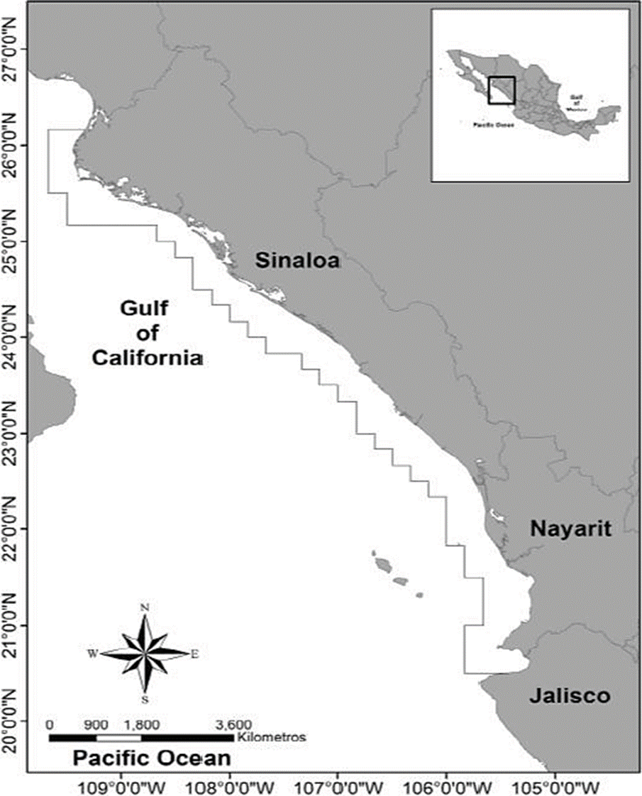 Age and growth of middling thread herring Opisthonema medirastre (Berry ...