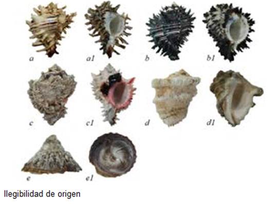 Composición de especies e ingreso económico por la pesca ribereña de ...