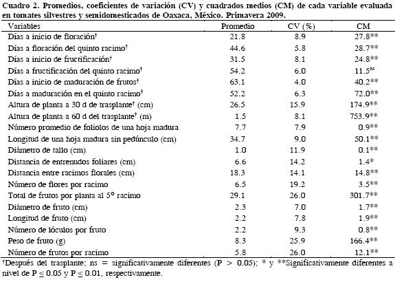 Caracterización agromorfológica de muestras de tomate de Oaxaca