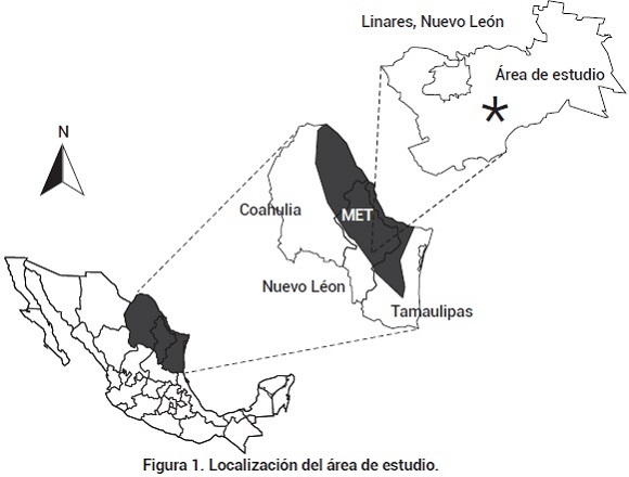 Distribución espacial, composición y estructura de un matorral en el ...