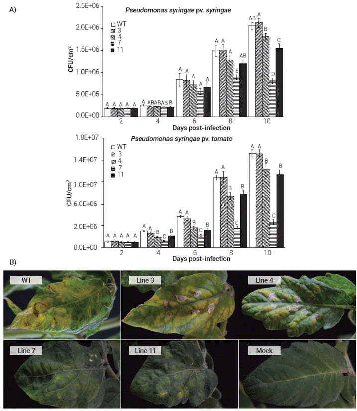 Tomato transformation with genes involved in plant immunity to confer ...