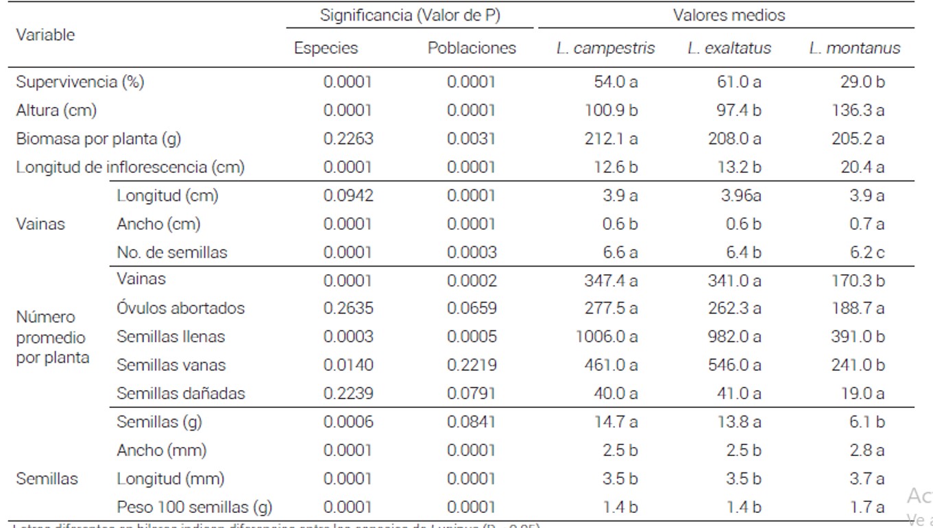 VARIACIÓN MORFOLÓGICA Y PRODUCTIVA DE TRES ESPECIES DE Lupinus EN UN ...