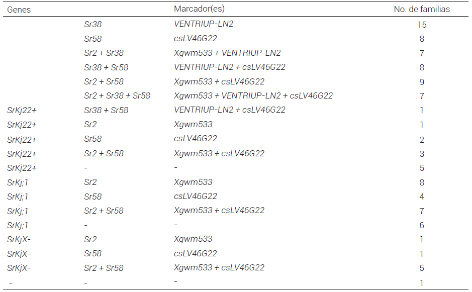 RESISTENCIA PARCIAL Y ESPECÍFICA A ROYA DEL TALLO EN LA LINEA AVANZADA ...