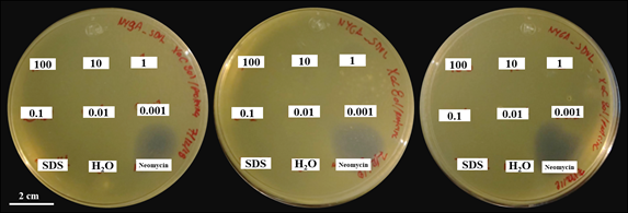 Protein solutions from Xanthomonas as resistance inductors for the ...
