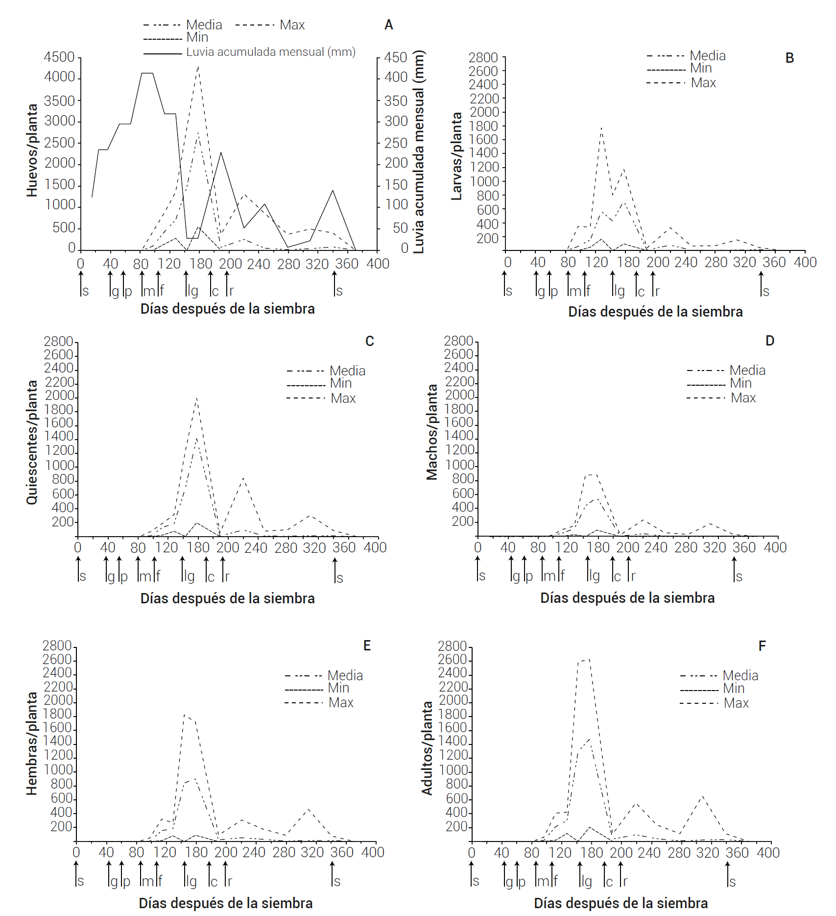 Dinámica temporal y patrones de agregación de Steneotarsonemus spinki ...