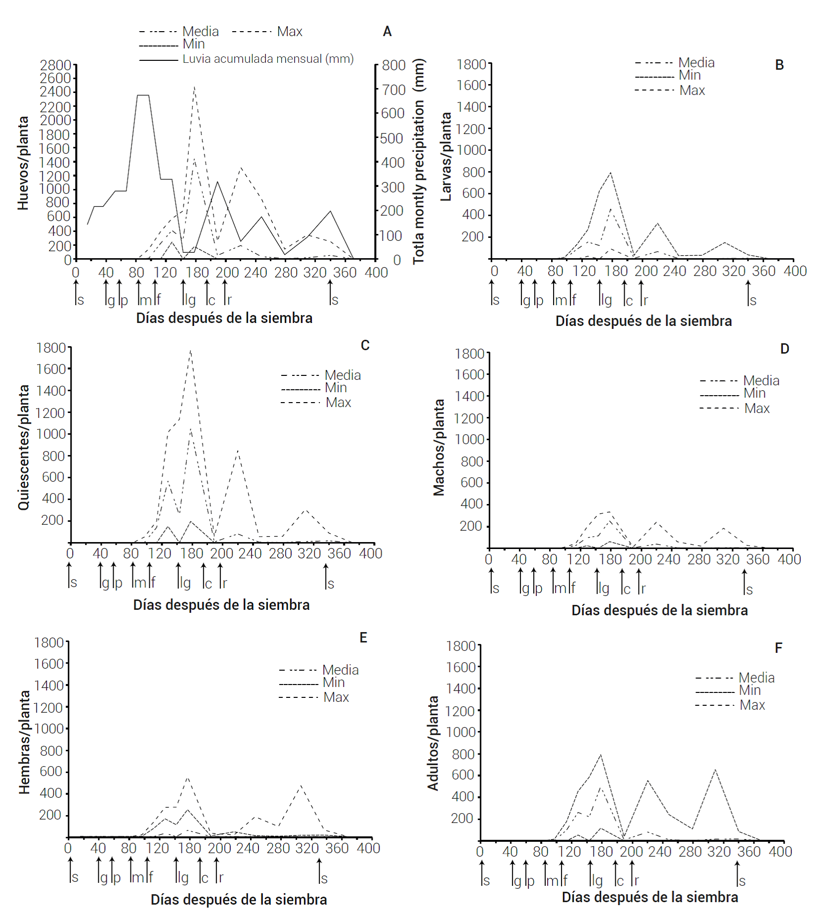 Dinámica temporal y patrones de agregación de Steneotarsonemus spinki ...