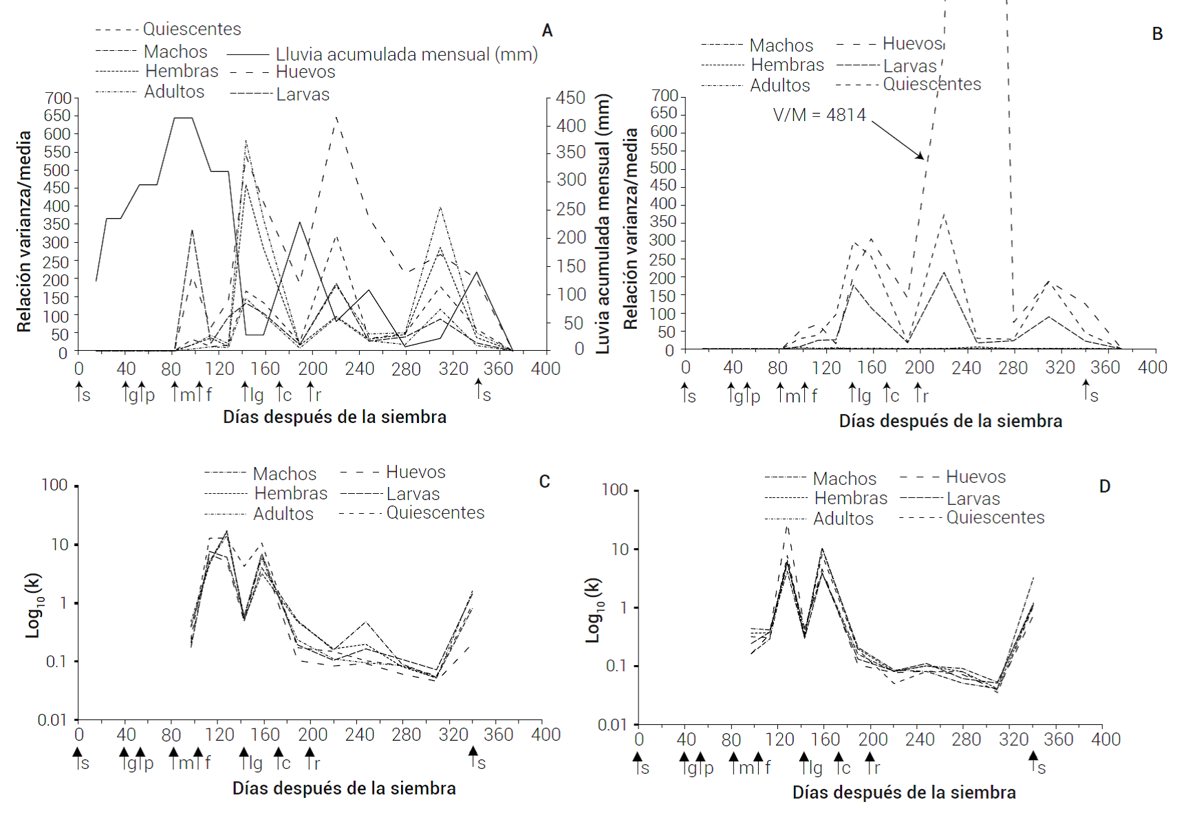 Dinámica temporal y patrones de agregación de Steneotarsonemus spinki ...