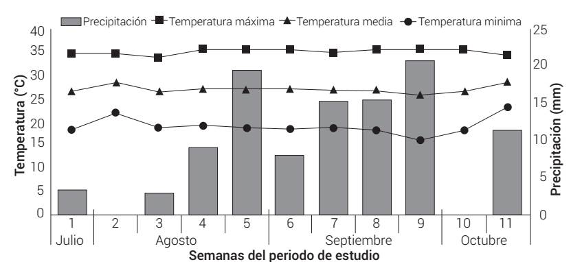 Comportamiento productivo del cultivo de soya variedad Salcer a ...