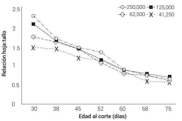 Comportamiento productivo del cultivo de soya variedad Salcer a ...